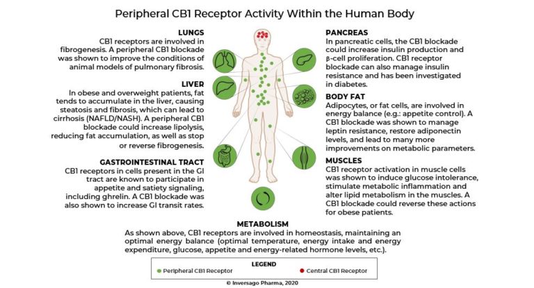 Our Approach – Inversago